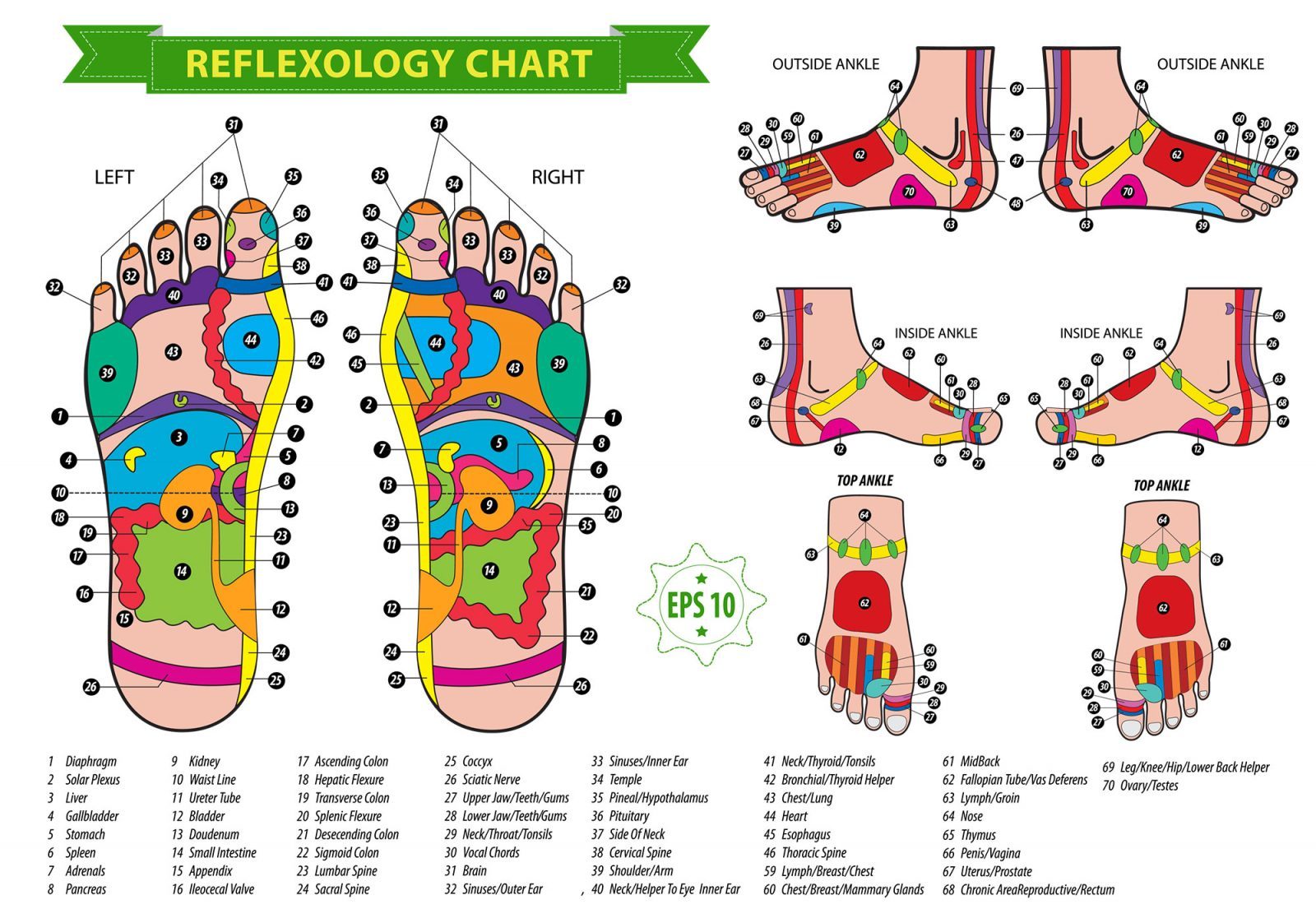 Can Reflexology Help Control Thyroid? – TMBI